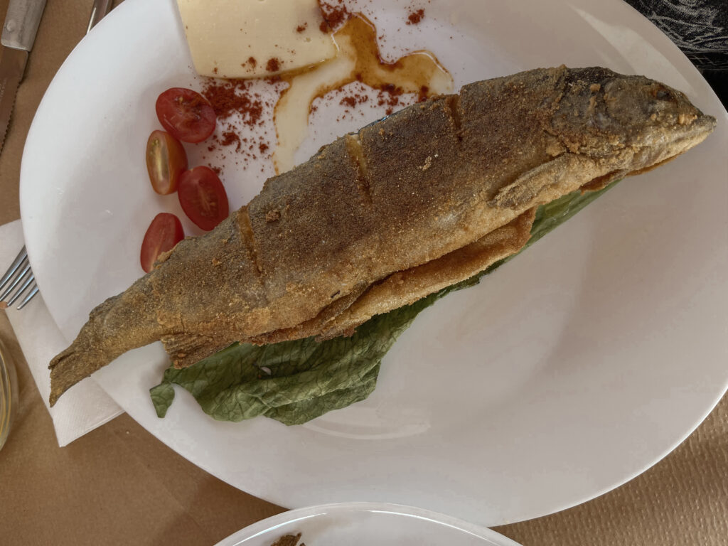 ΑΝΑΚΑΛΥΠΤΟΝΤΑΣ ΤΟ ΚΑΤΩ ΝΕΥΡΟΚΟΠΙ ΔΡΑΜΑΣ. ΕΝΑΝ ΣΧΕΔΟΝ ΑΝΕΞΕΡΕΥΝΗΤΟ ...